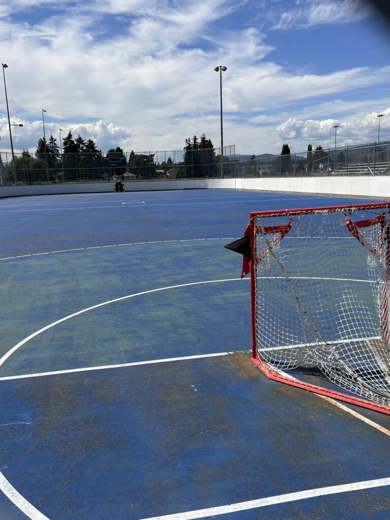 Projects revised - Cowichan Sportsplex